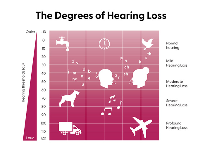 Hearing Loss Scale