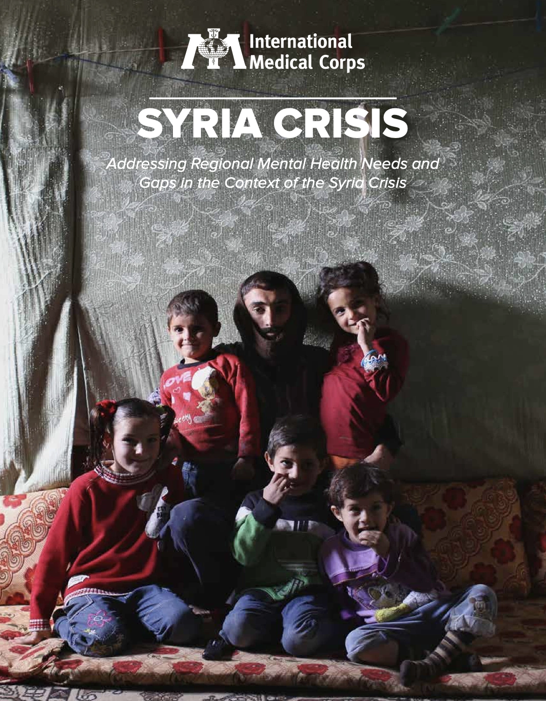 Syria crisis: Addressing regional mental health needs and gaps in the ...
