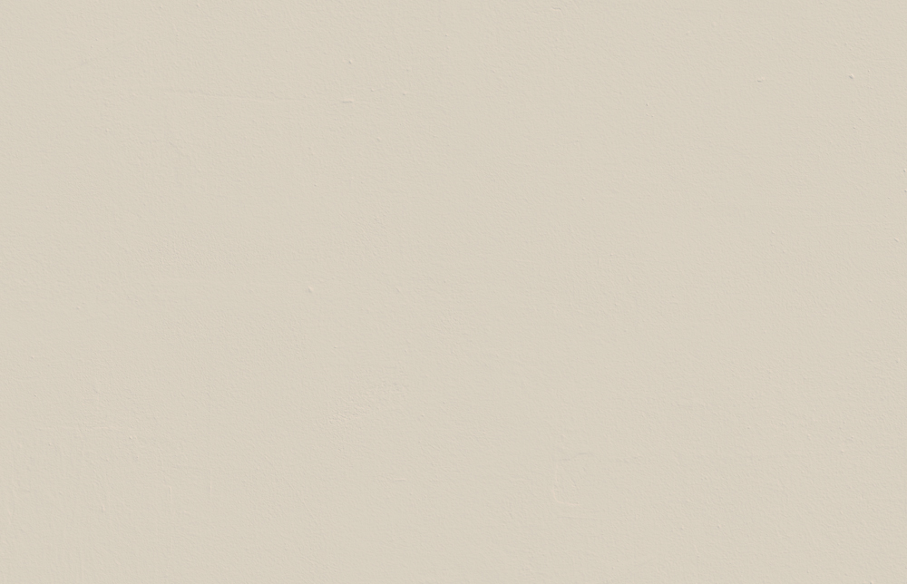 Beige 03: Earthy Beige Paint - Peel & Stick Paint Sample | Lick