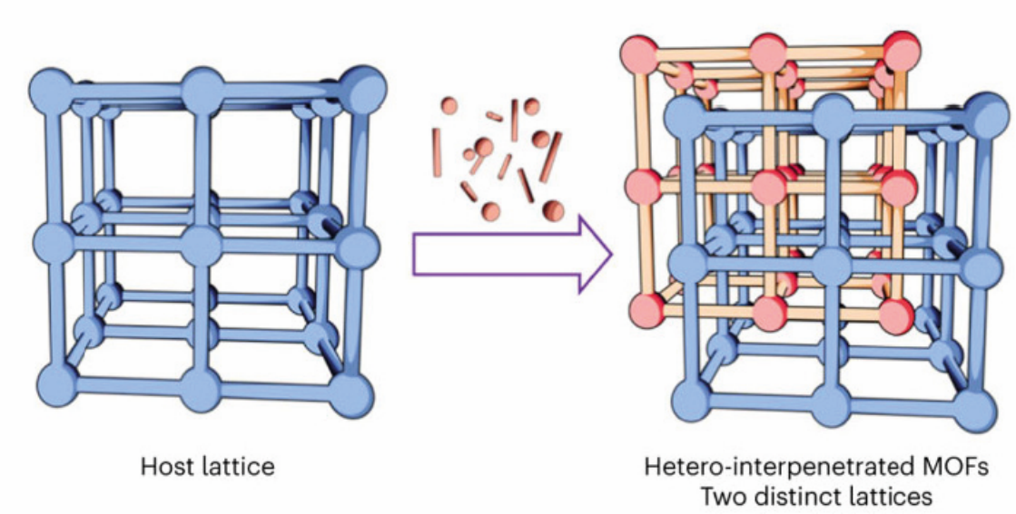 MOF im MOF | GDCh.app