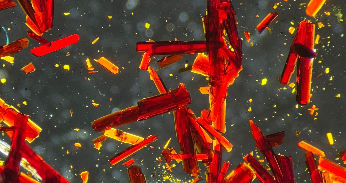 Single Crystal Diffraction - A Hands-On Workshop | GDCh.app